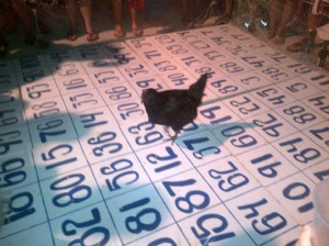 20 Tips for a Family Trip to Belize - Urban Mommies