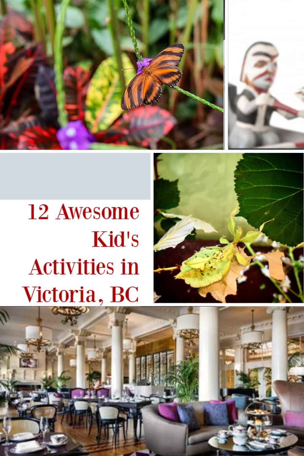 Top 12 Family Things to Do in Victoria BC