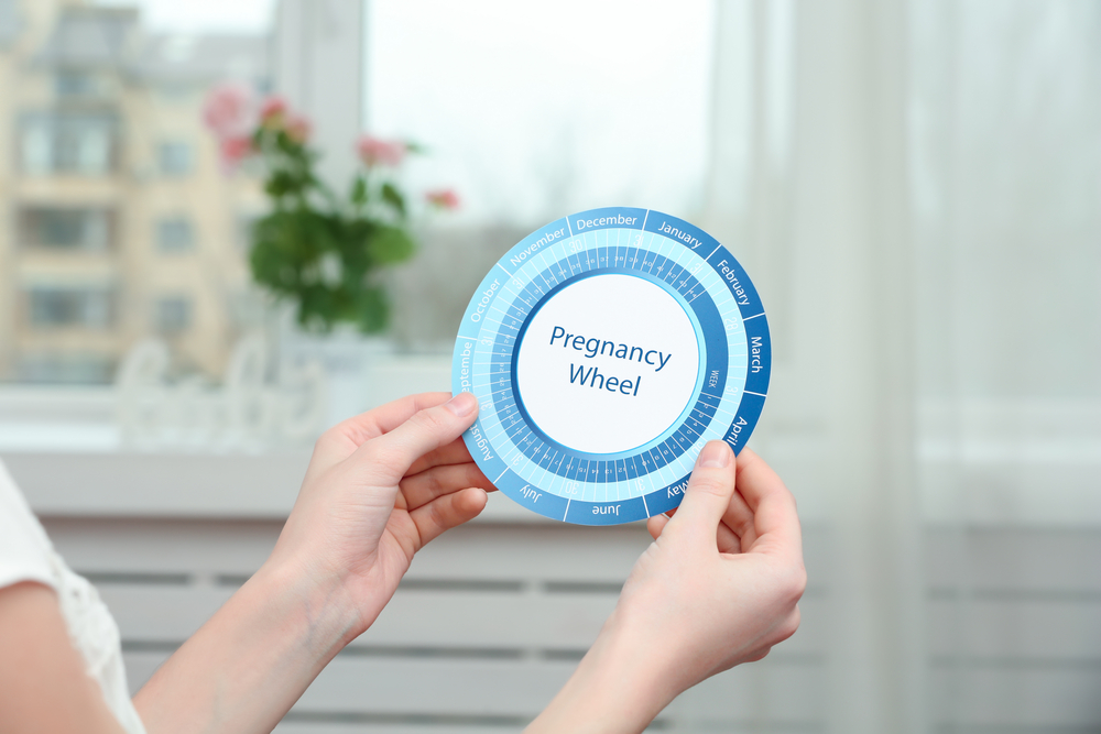 Pregnancy Wheel