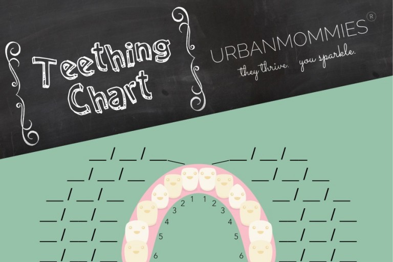 Teething Chart - Urban Mommies